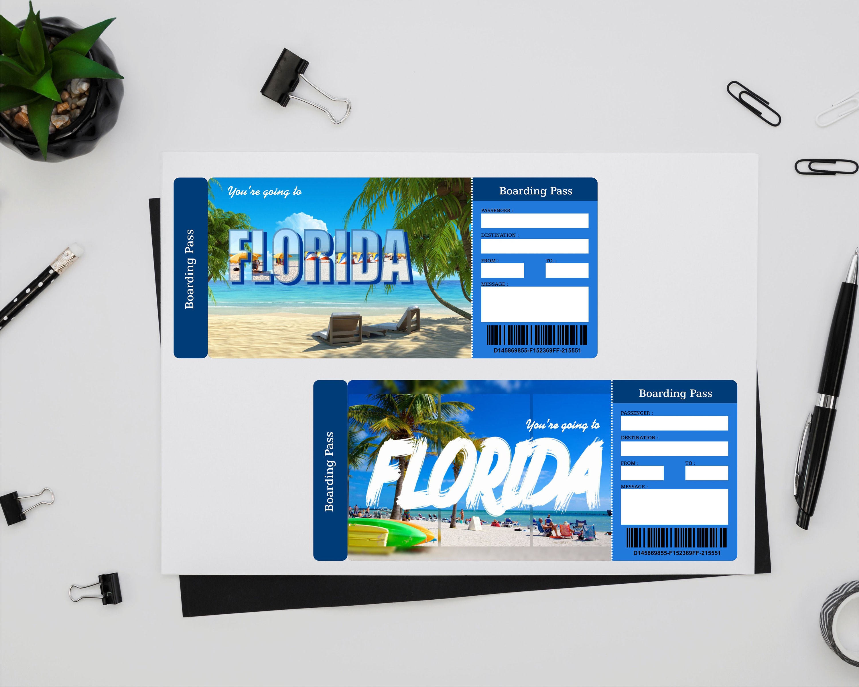 Printable Florida Trip Ticket, Trip to Florida Vacation Ticket ...