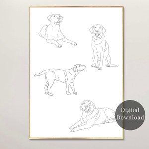 Digital Labrador Print | Line Drawing | Minimalistic Print | Wall Art ...