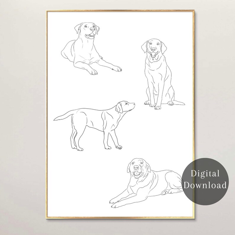 Digital Labrador Print | Line Drawing | Minimalistic Print | Wall Art ...