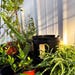 Self-watering Planter | Double Bucket Design for Indoor & Outdoor Use ...
