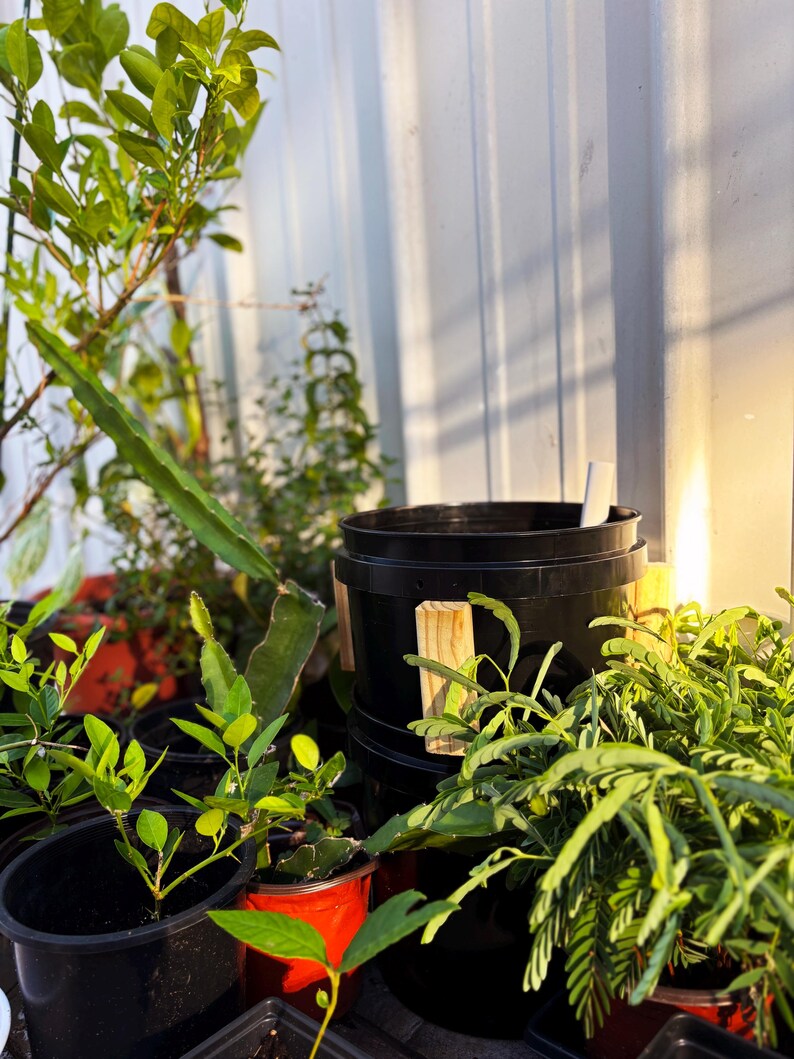 Self-watering Planter | Double Bucket Design for Indoor & Outdoor Use ...