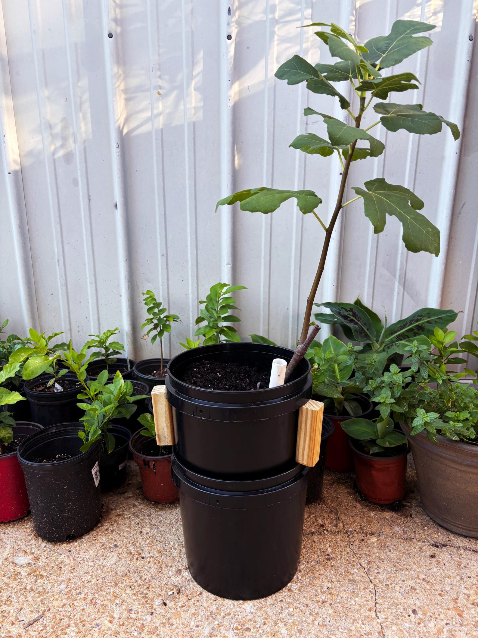Self-watering Planter | Double Bucket Design for Indoor & Outdoor Use ...