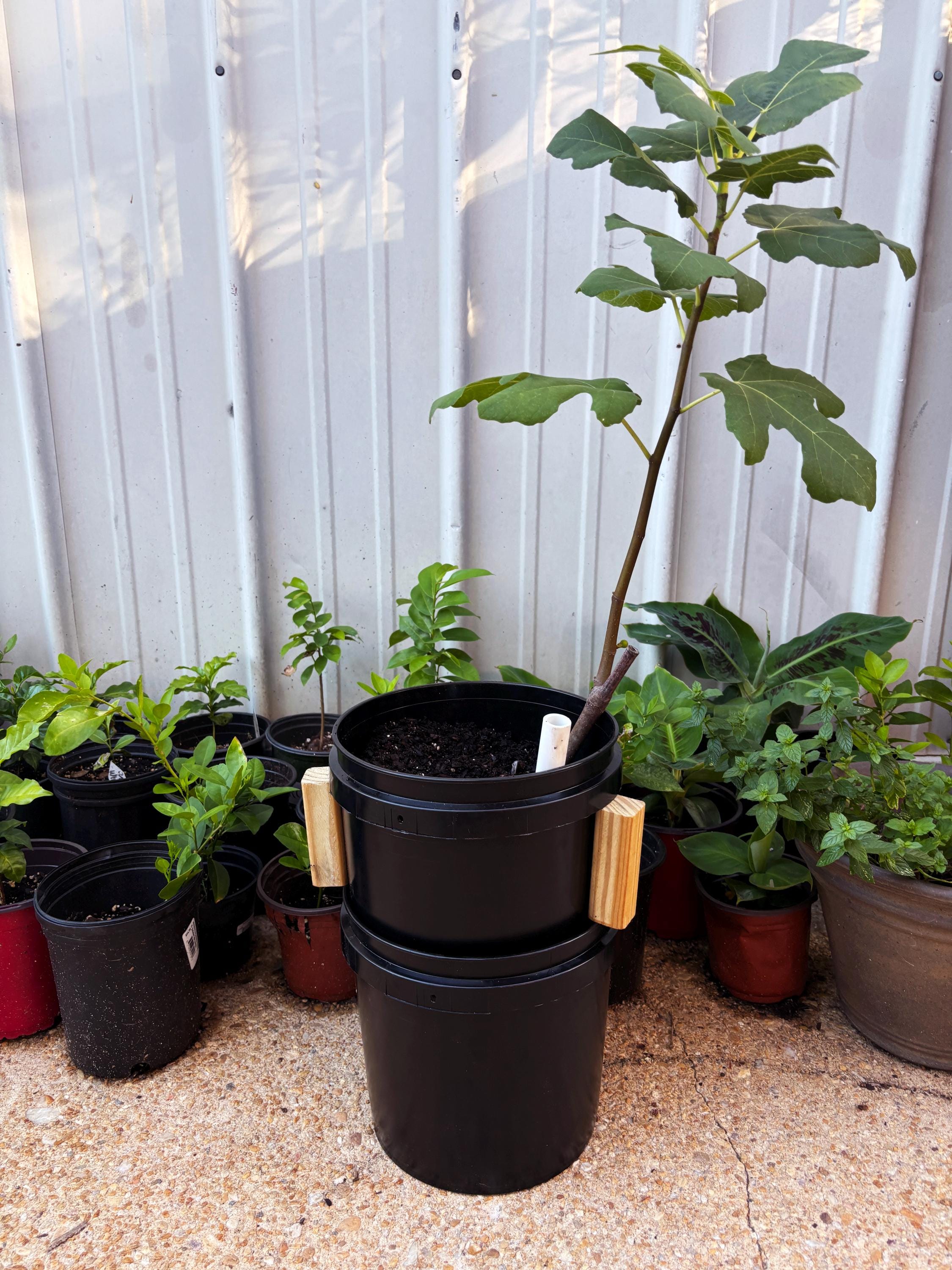 Self-watering Planter | Double Bucket Design for Indoor & Outdoor Use ...
