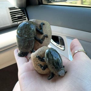 Dung Beetle Ceramic Pot / Planter, Made to Order - Etsy