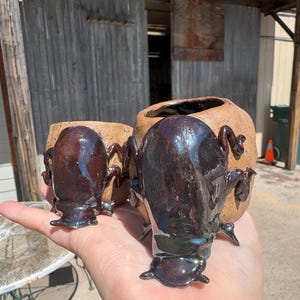 Dung Beetle Ceramic Pot / Planter, Custom Made Scarab Pottery - Etsy