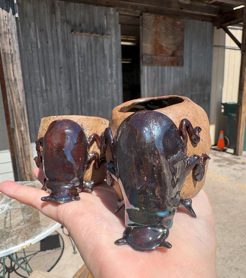 Dung Beetle Ceramic Pot / Planter, Custom Made Scarab Pottery - Etsy