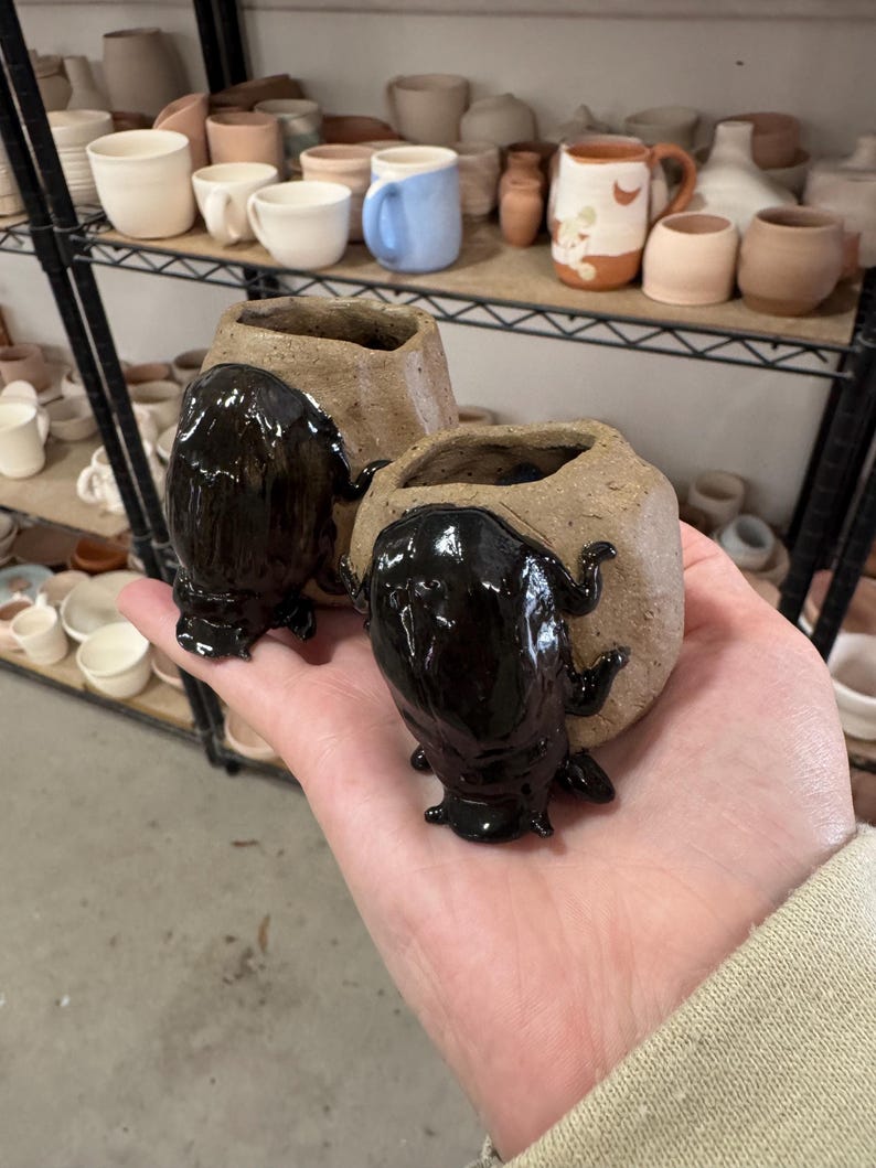 Dung Beetle Ceramic Pot / Planter, Custom Made Scarab Pottery - Etsy