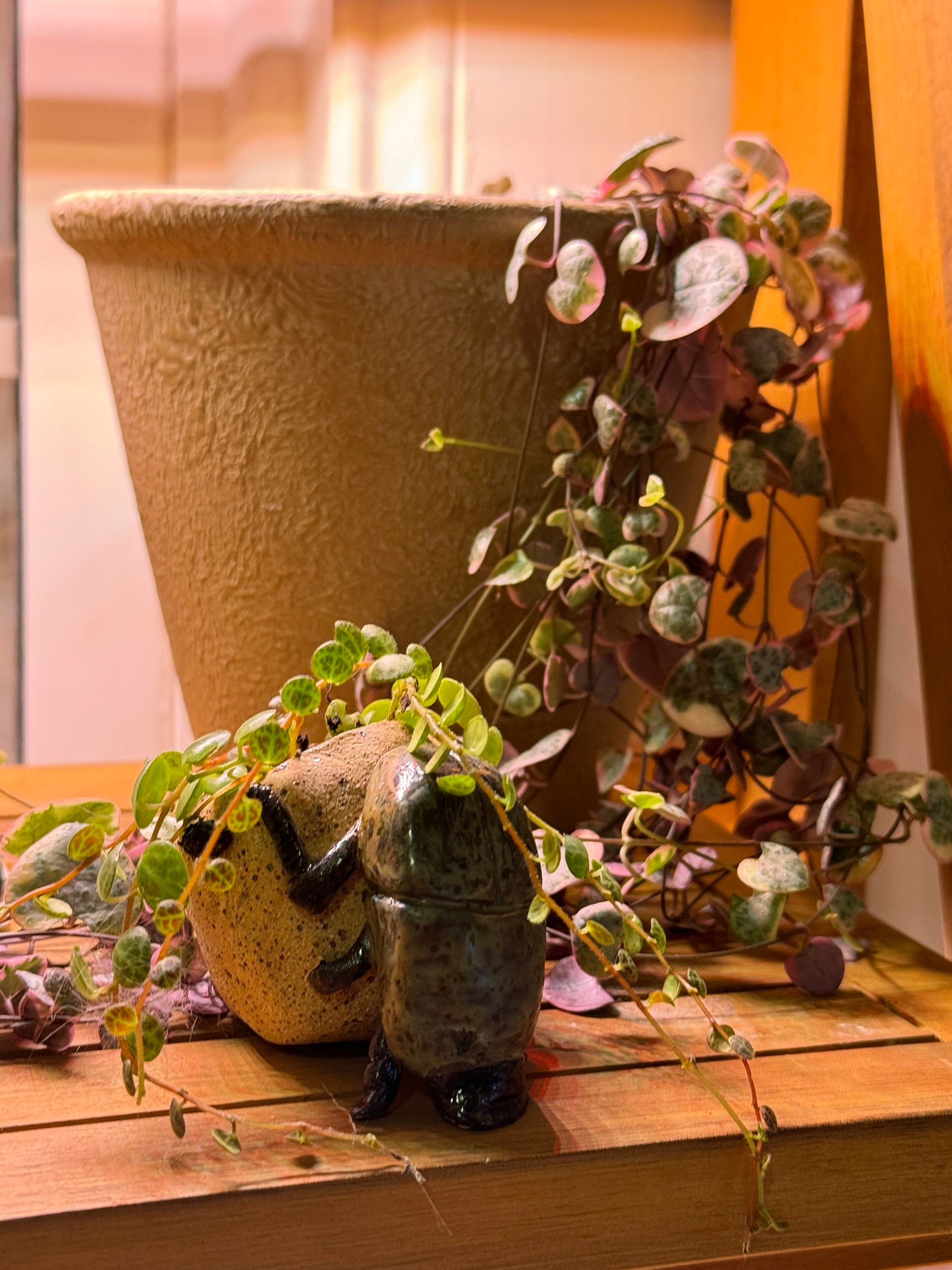 Dung Beetle Ceramic Pot / Planter, Custom Made Scarab Pottery - Etsy