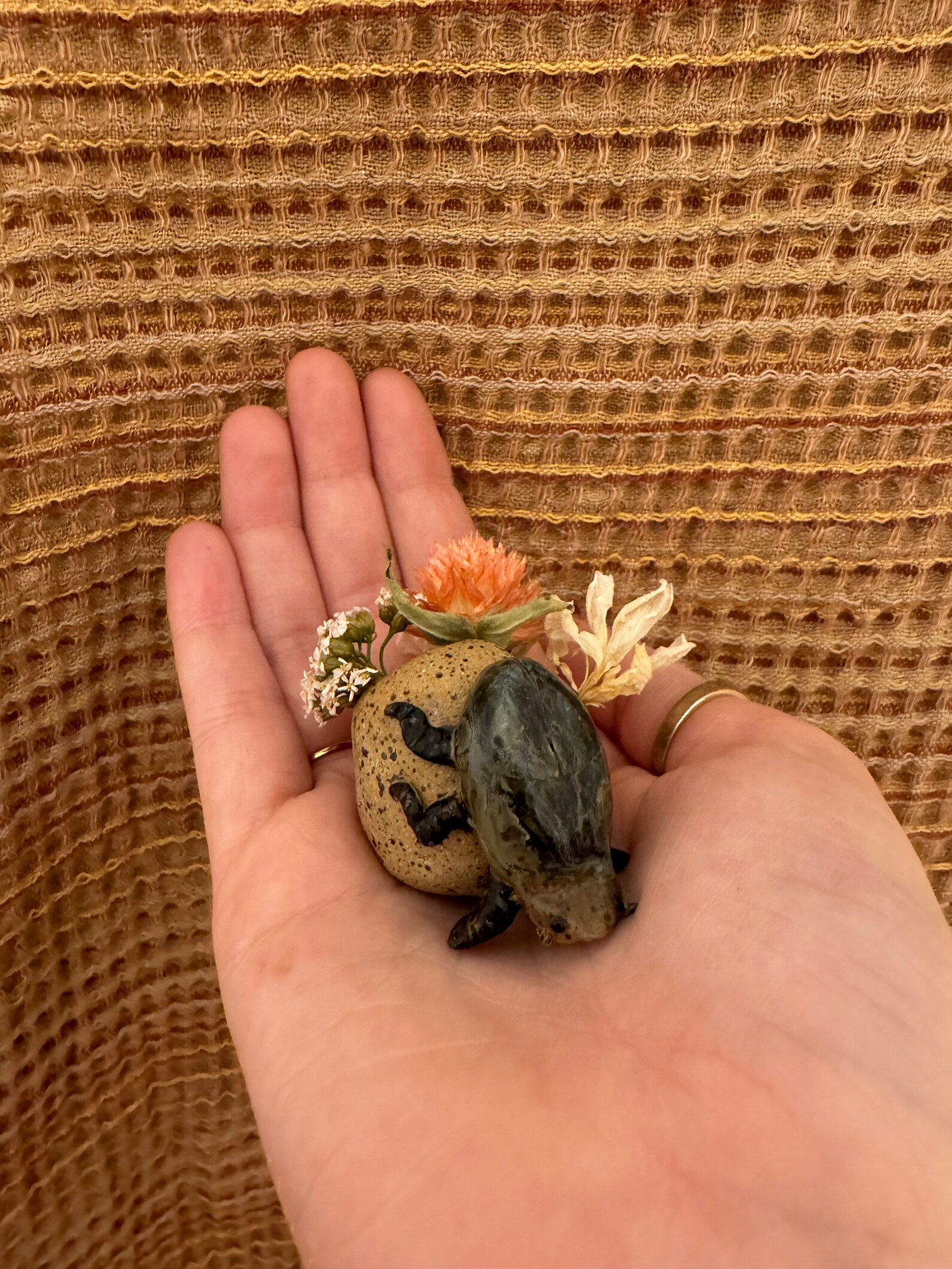 Dung Beetle Ceramic Pot / Planter, Custom Made Scarab Pottery - Etsy