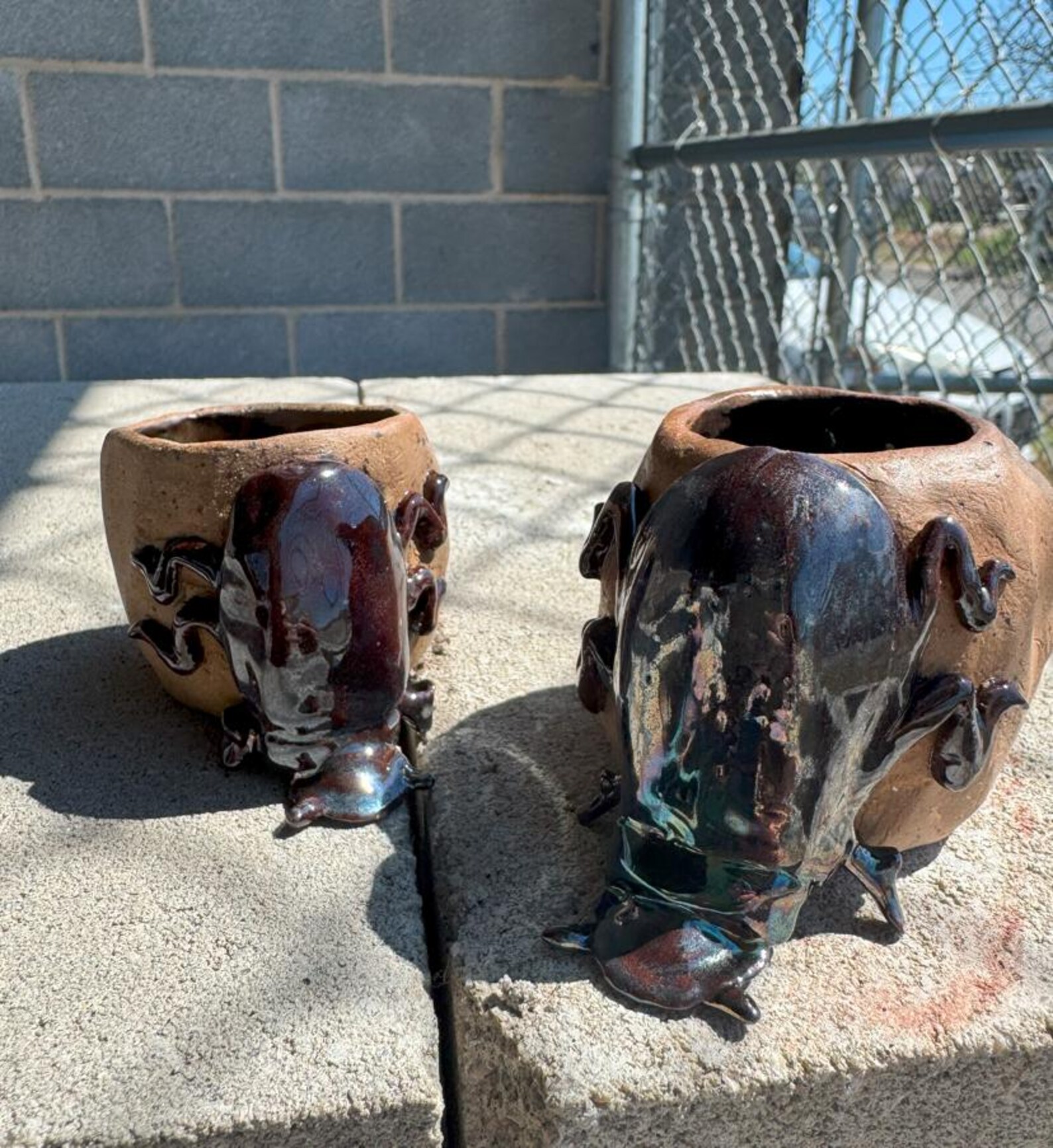 Dung Beetle Ceramic Pot / Planter, Custom Made Scarab Pottery - Etsy