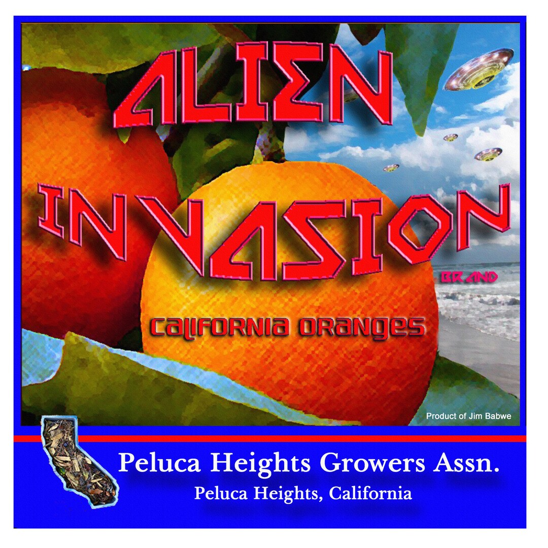 Citrus Crate Labels - Etsy