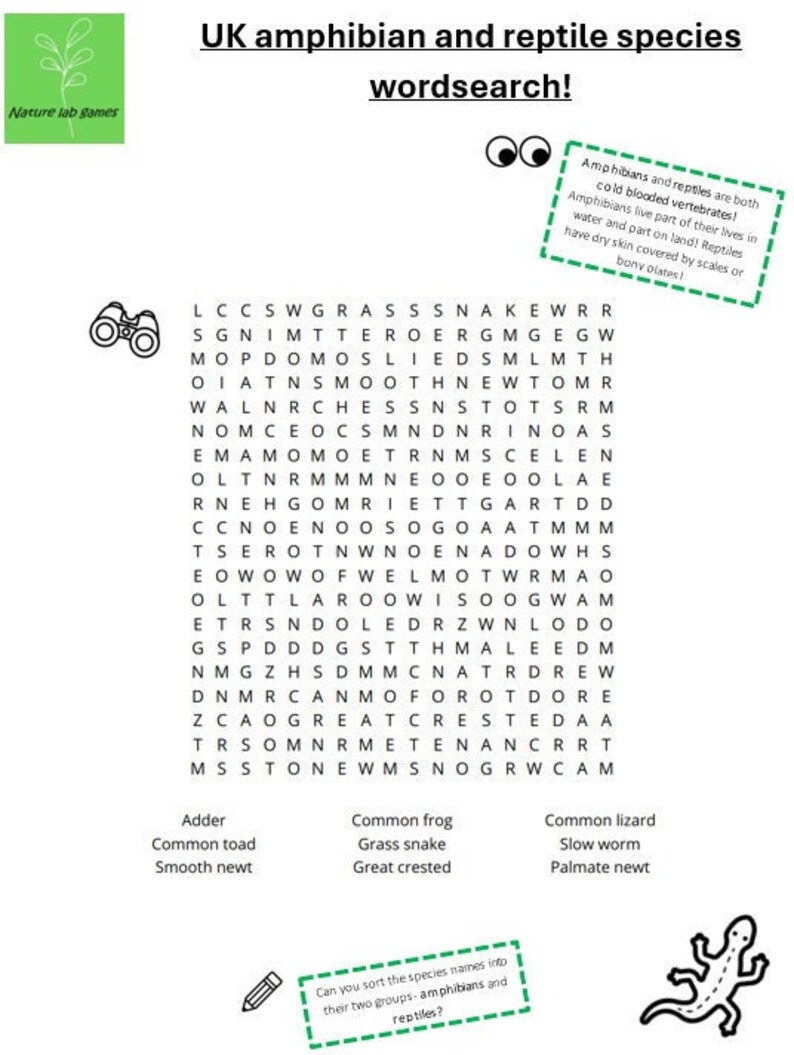 UK Amphibians and Reptiles Species Wordsearch Activity Sheet - Etsy