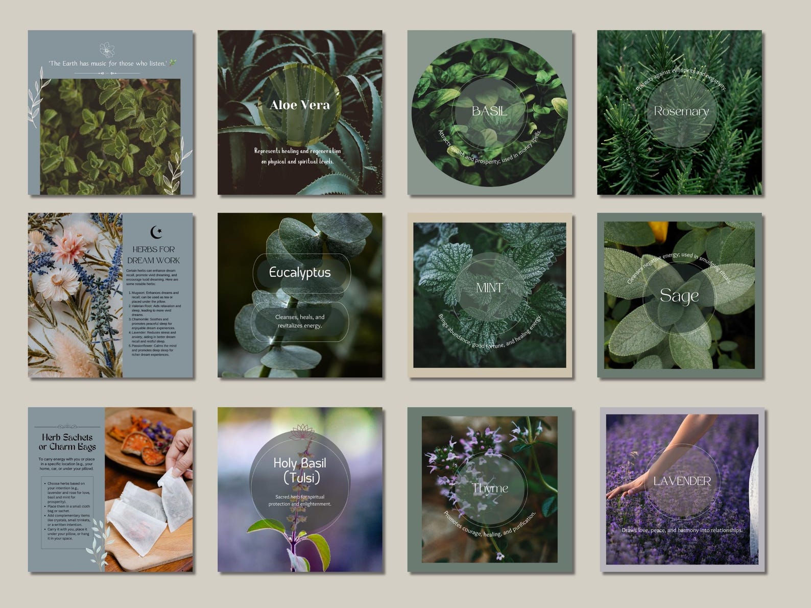Instagram Post Bundle for Herbalist&healer, Editable Canva Template ...