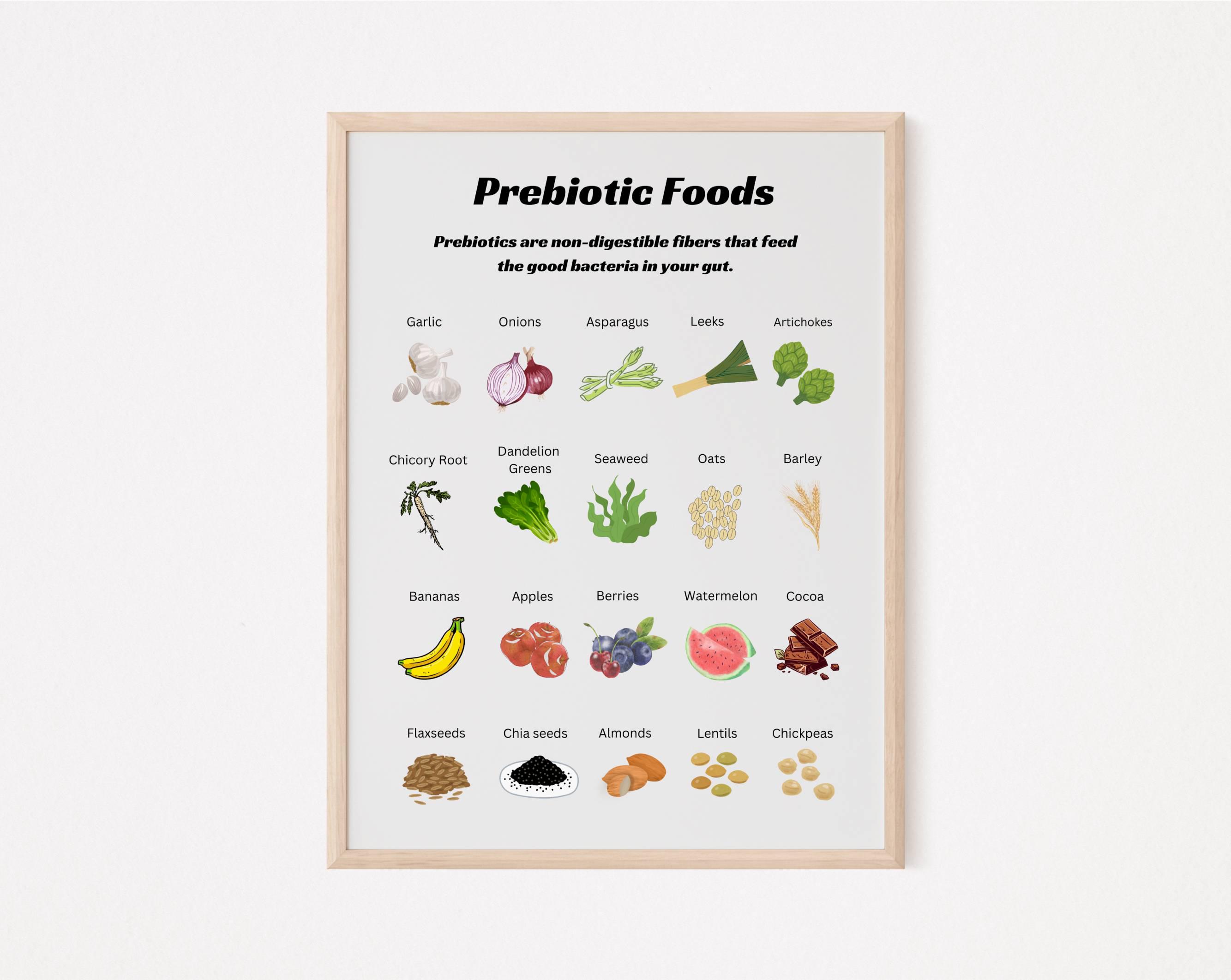 Food Reference Chart Printable Set, Probiotic & Prebiotic Foods Source ...