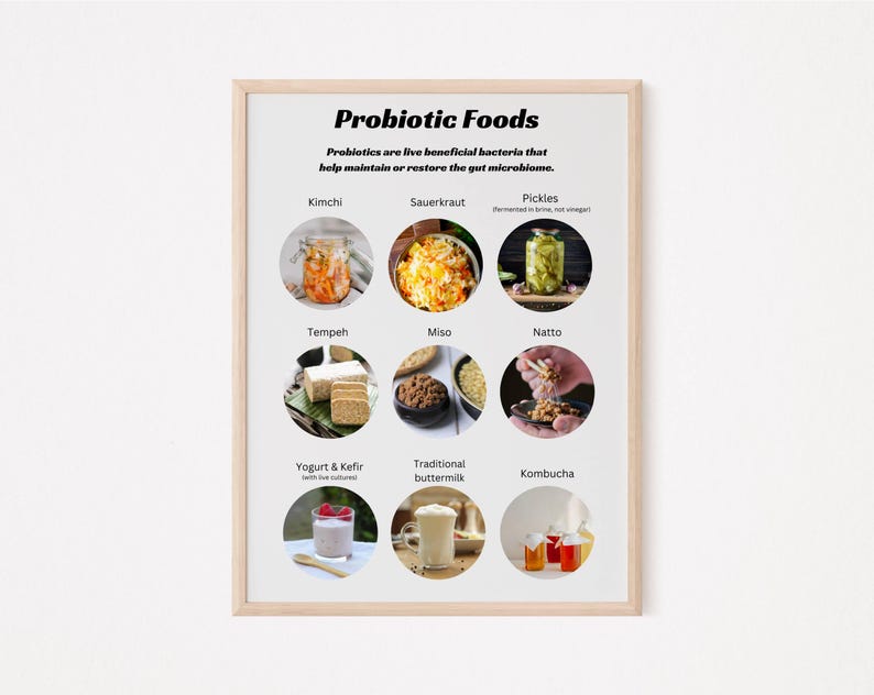 Food Reference Chart Printable Set, Probiotic & Prebiotic Foods Source ...