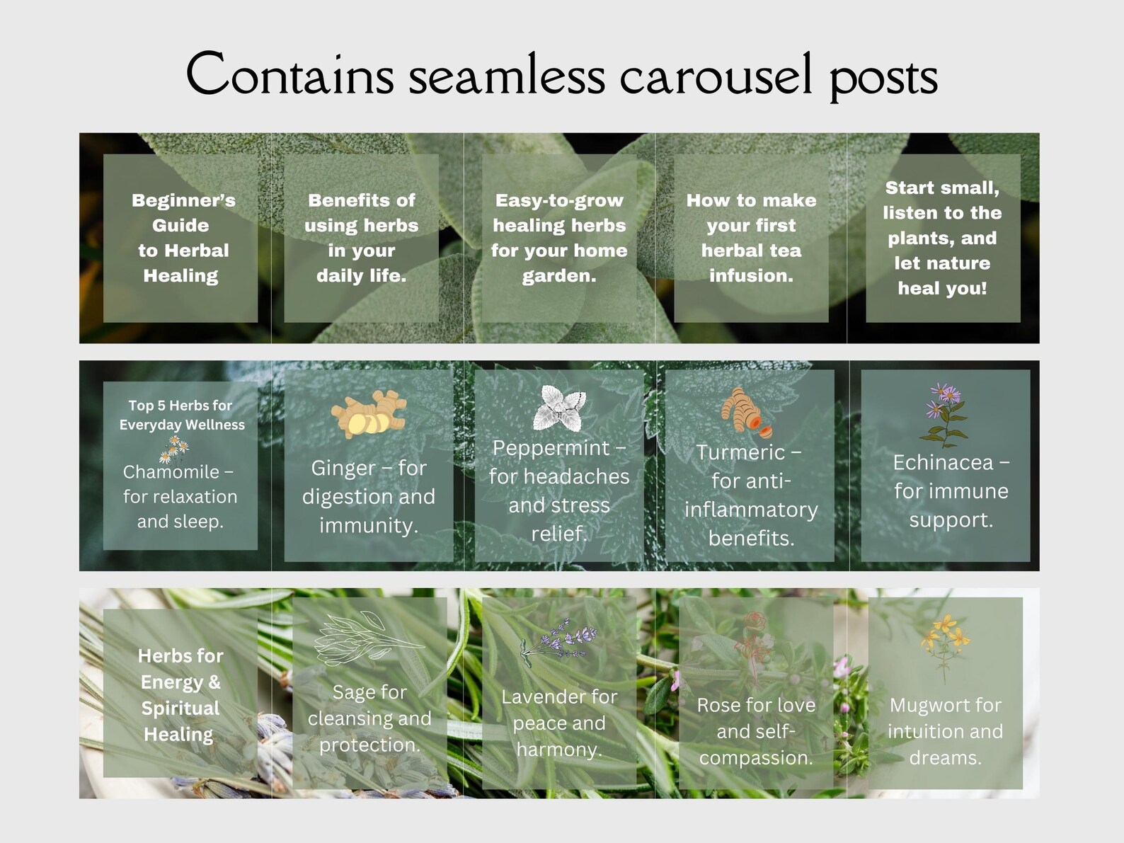 Instagram Post Bundle for Herbalist&healer, Editable Canva Template ...