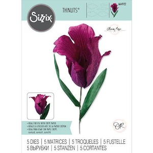 Sizzix Thinlits Die Set- TULIPS by Olivia Rose - Etsy