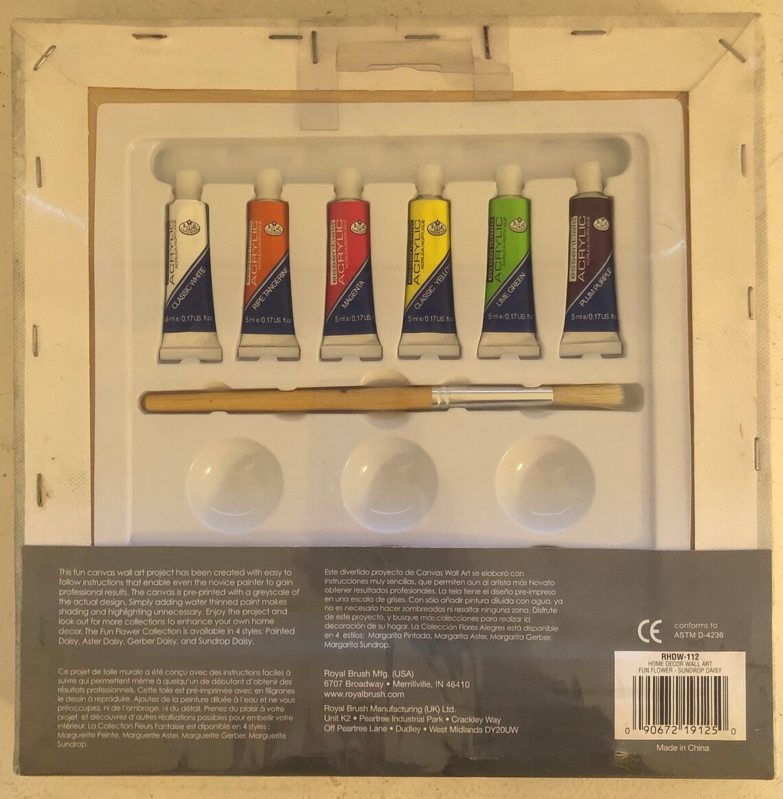 Paint Your Own Home Decor Kit Fun Flower Aster Daisy From | Etsy