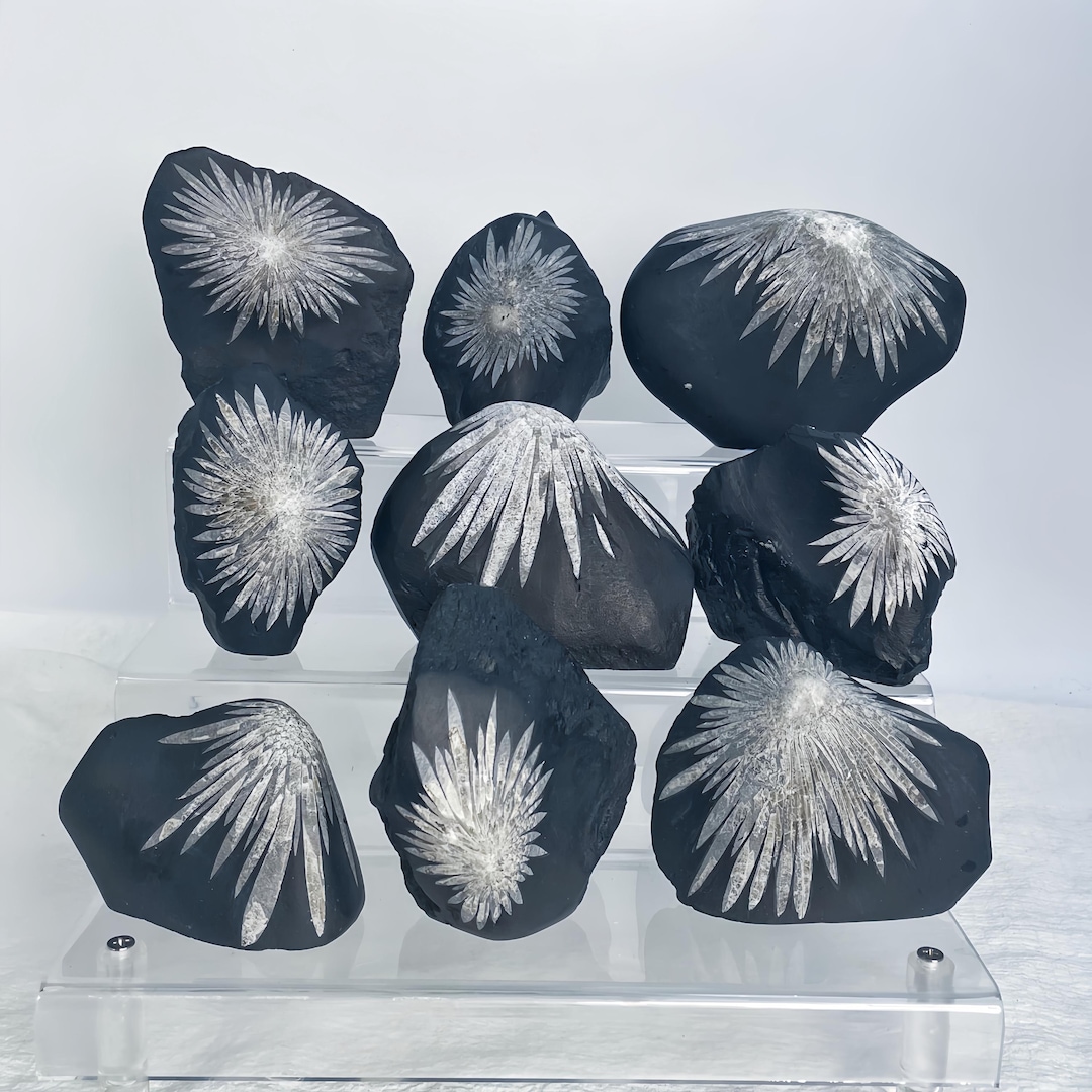 Chrysanthemum Stone, Crystal Specimen, Raw Chrysanthemum Flower Stone ...