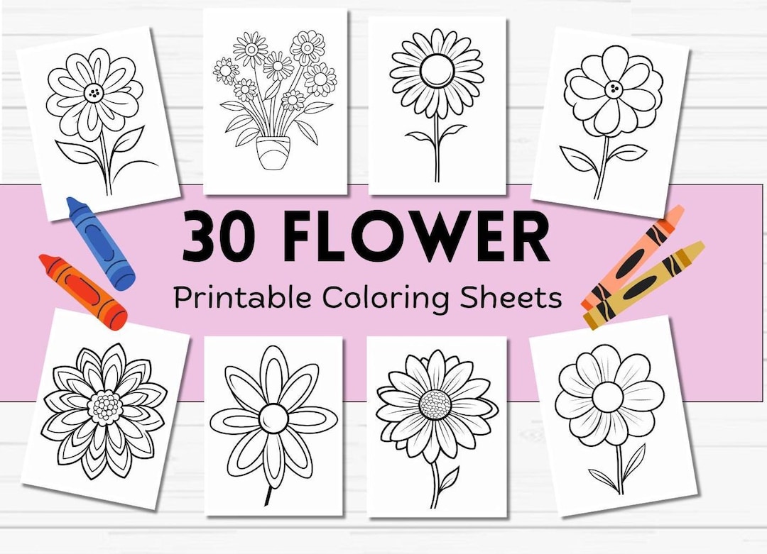 30 Simple Flower Coloring Pages: Toddler/preschool Printable (PDF) - Etsy