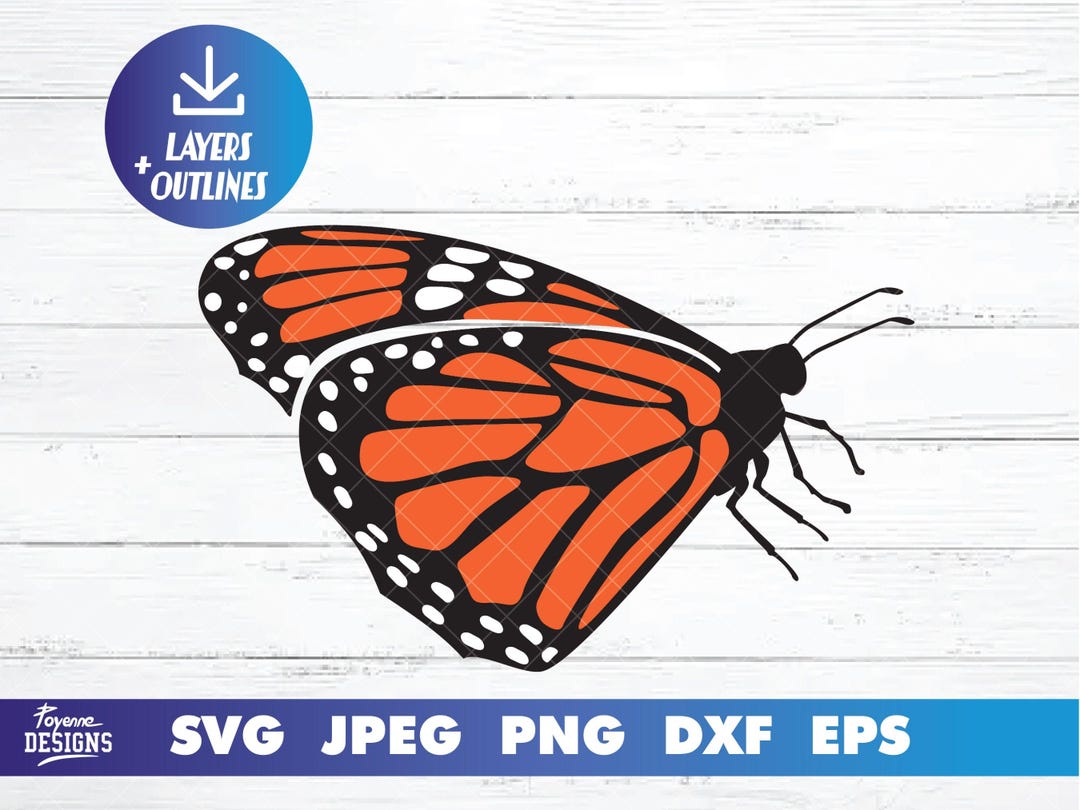 Butterfly Svg | Monarch Butterfly | Butterfly Clipart | Butterfly ...