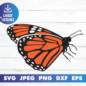 Butterfly Svg | Monarch Butterfly | Butterfly Clipart | Butterfly ...