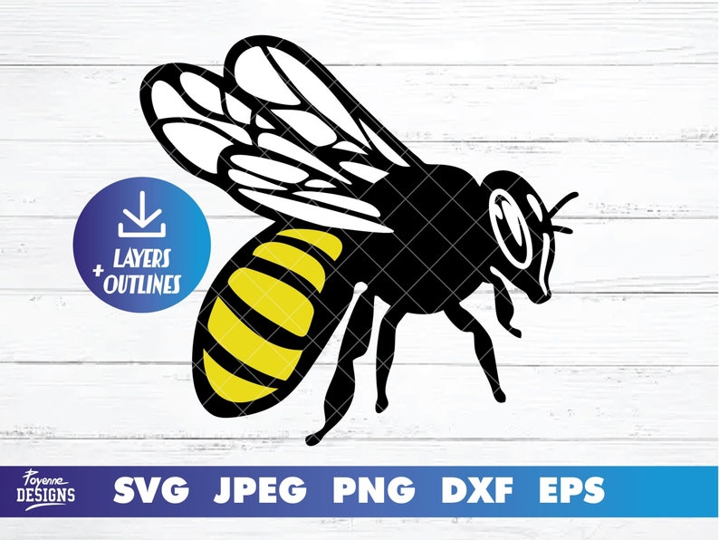Bee SVG | Clipart Bee | Layered and Outline for Cricut and Silhouette ...