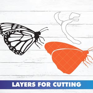 Butterfly Svg | Monarch Butterfly | Butterfly Clipart | Butterfly ...