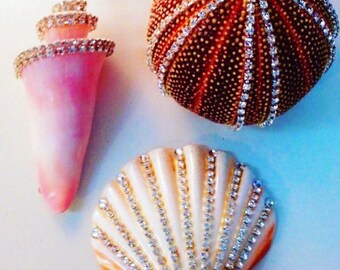Jeweled Seashells & Home Decor by ShellDecor on Etsy
