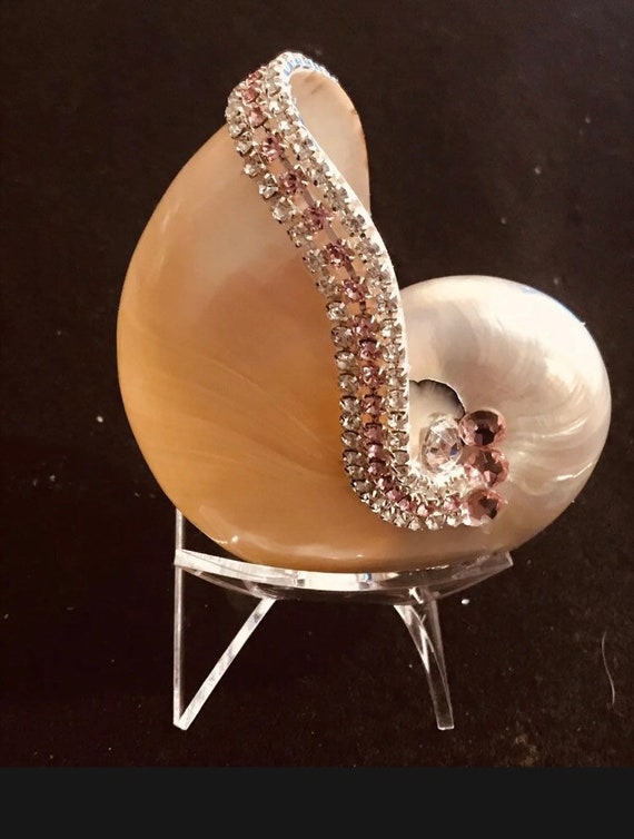 Rhinestone Nautilus Shell Pink & Diamond Clear Crystals 4 1/2 - Etsy