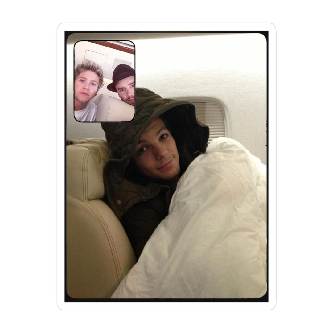 One Direction Bereal Sticker | Louis Tomlinson Niall Horan Liam Payne ...