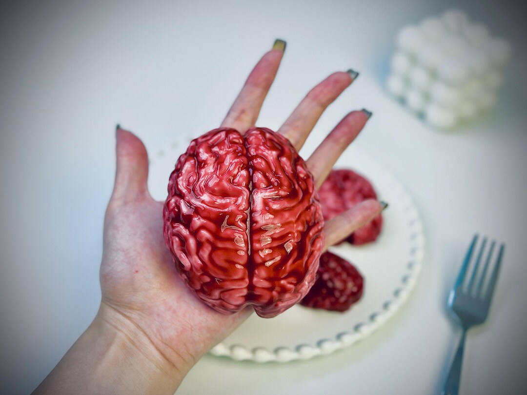Life Size Human Brain Halloween Gift, Handmade Brain Squishy, Realistic ...