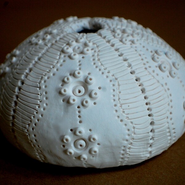 Sea Urchin Art - Etsy