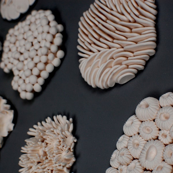 Coral Reef Art - Etsy