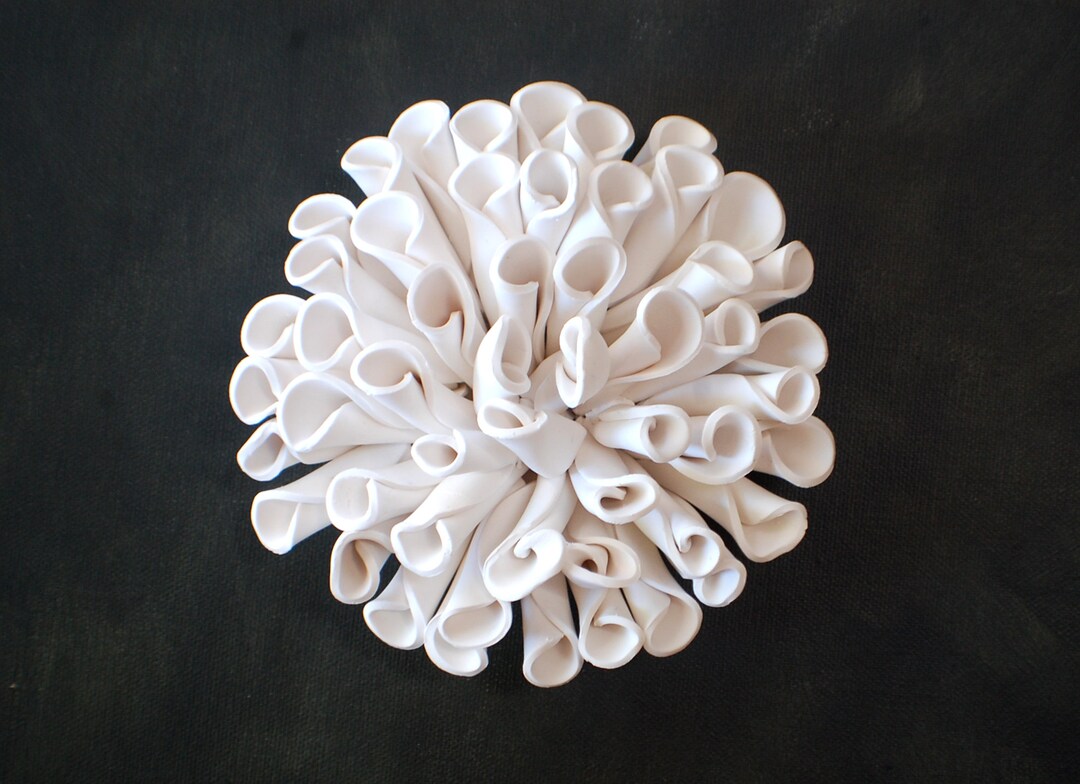 Spiral Coral Ocean Sea Textures White Clay Decoration, Art Beach House ...