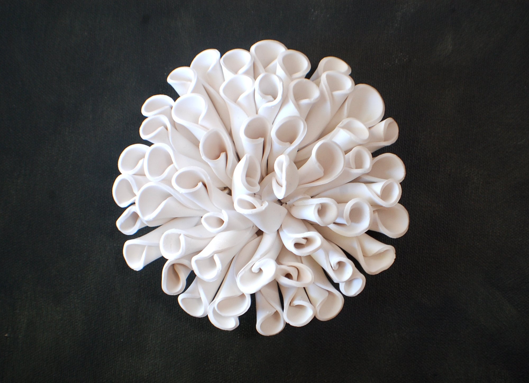Spiral Coral Ocean Sea Textures White Clay Decoration, Art Beach House ...