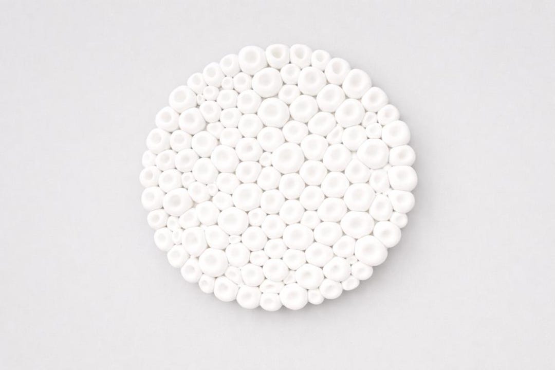 White Coastal Wall Sculpture: Modern Organic Round Barnacle Art Decor ...