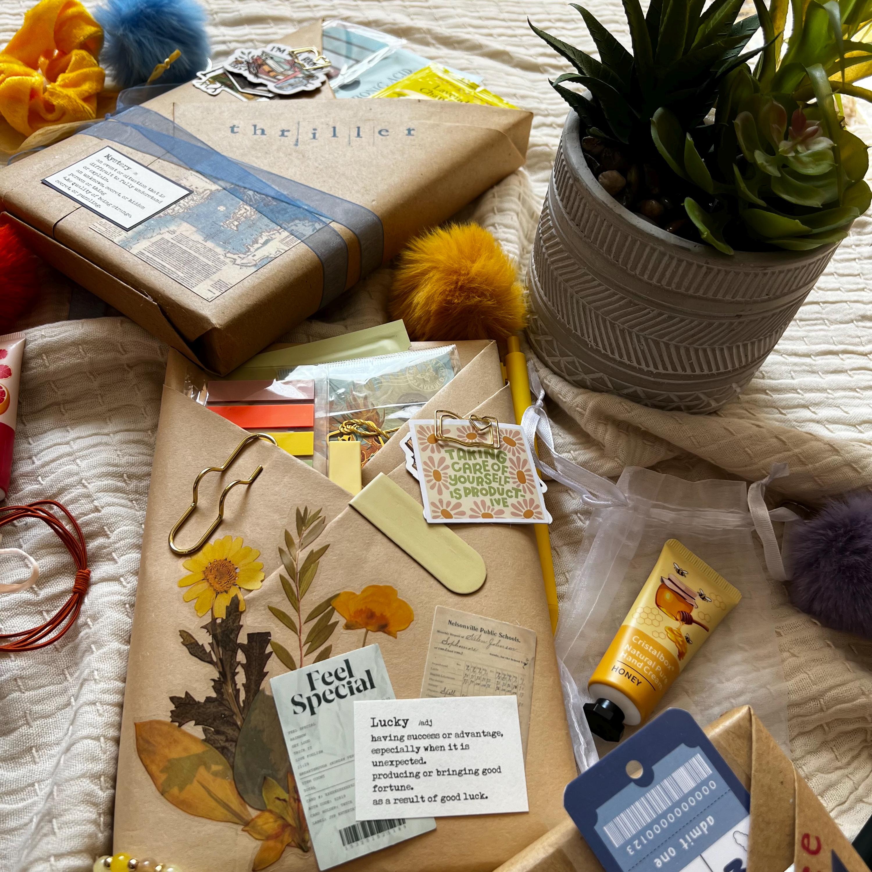 Blind Date With a Book, Book Gift Set, Book Lover, Romance, Booktok ...