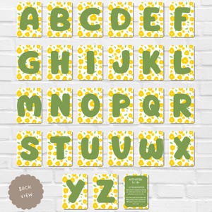 Alphabet Flash Cards Floral Phonics Activities Toddler Flashcards ...