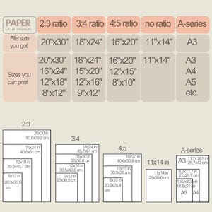 Educational ABC and Numbers Posters. Flower Theme Nursery Wall Art ...