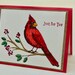 Personalized Cardinal Birthday Card, Happy Birthday Card for Special ...