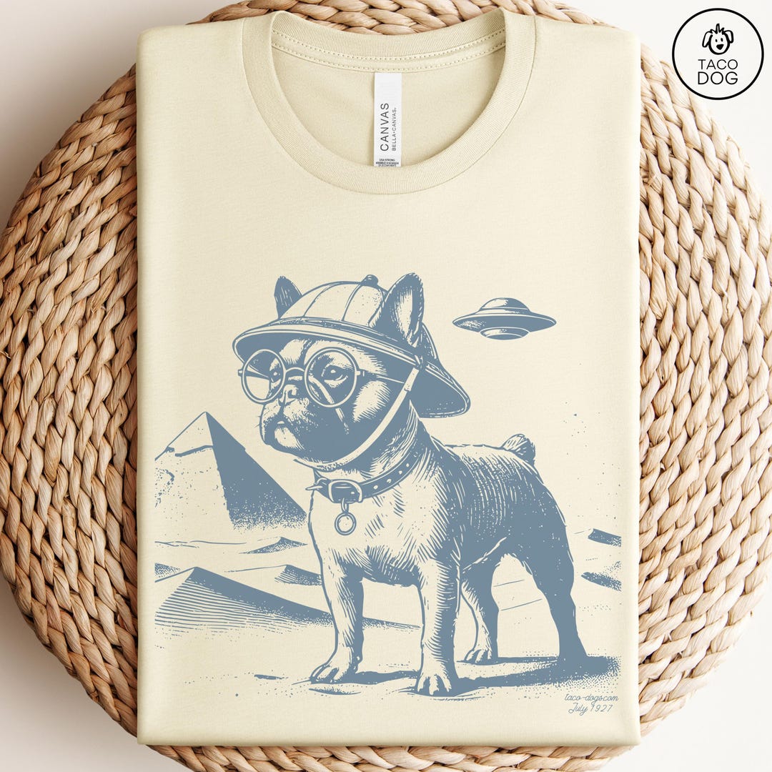 French Bulldog, Vintage Dog Shirt, Funny Dog Tshirt, UFO, Dog Mom Shirt ...