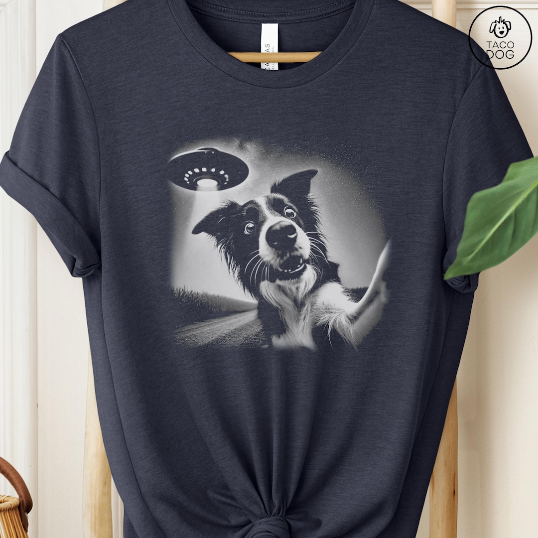 Border Collie, Border Collie Shirt, UFO Sweatshirt, Funny Tshirt, Funny ...