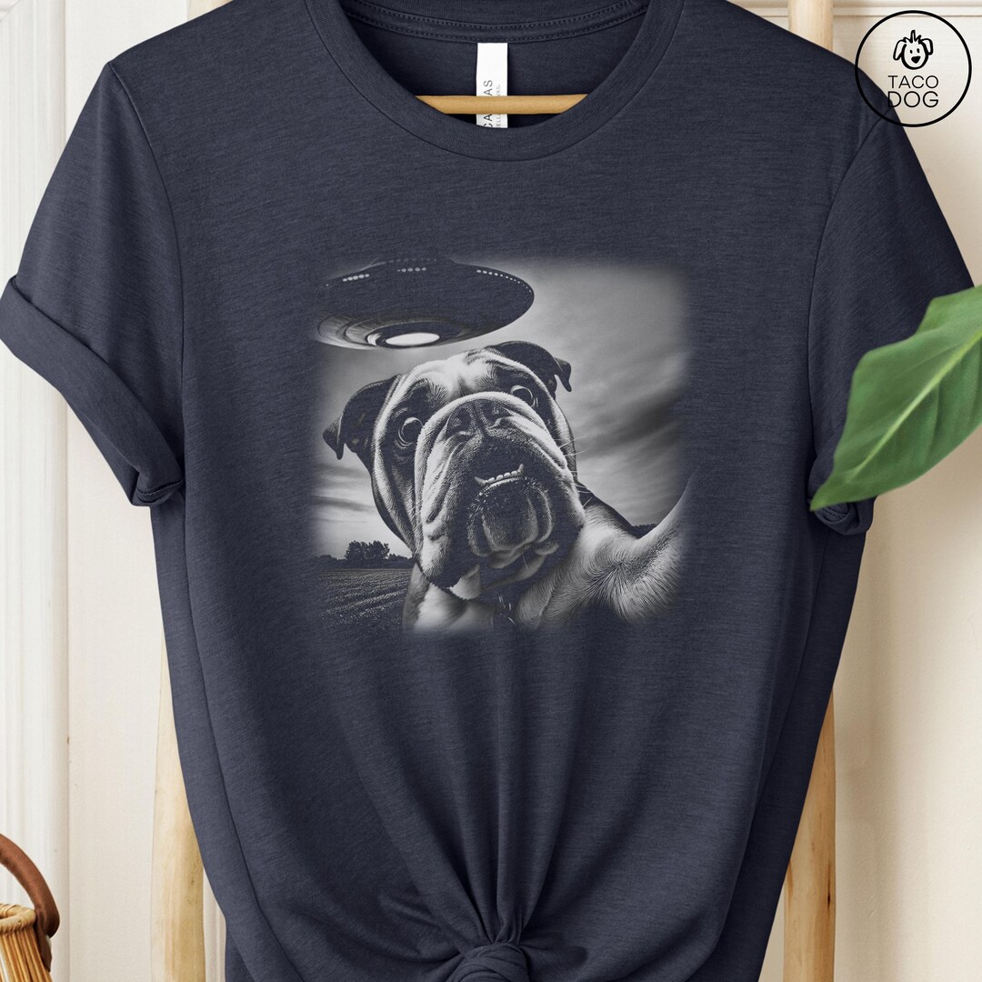Bulldog, English Bulldog Shirt, UFO Sweatshirt, Funny Tshirt, Funny Dog ...