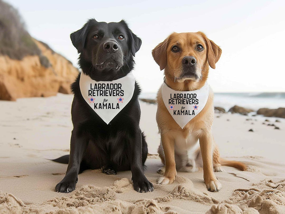 Labrador Retrievers for Kamala, Lab Bandana, Kamala Harris, Madam ...