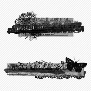 Flora Edges Brushes for Photoshop and Procreate With PNG Files for ...