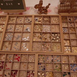 DIY Charm Bar Kit: Custom Jewelry Making Party - Includes Charms ...