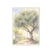 Olive Tree Wall Art From Israel Hebrew Letters, Light Wooden Frame ...