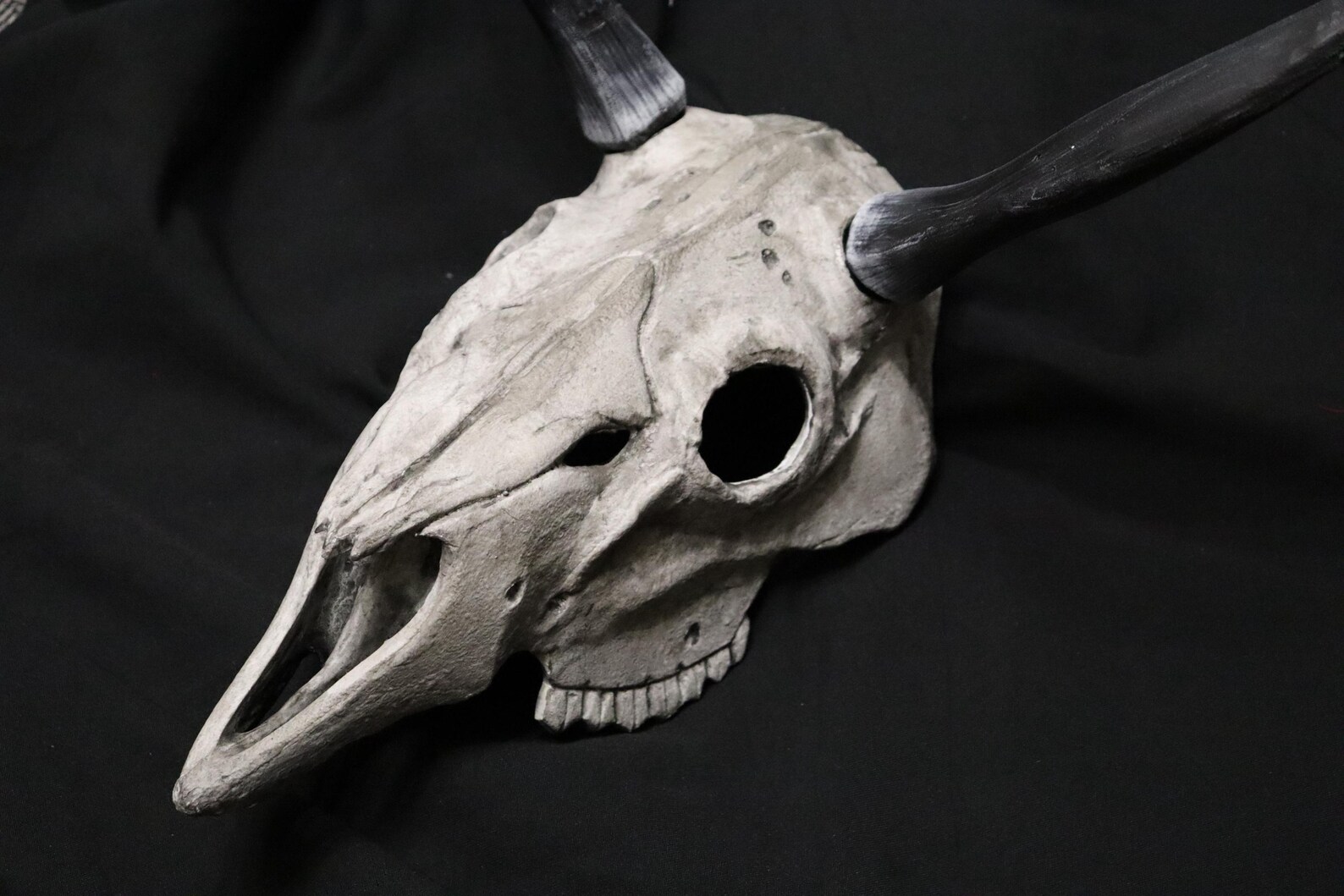 Fake Animal Skull With Horns - Etsy