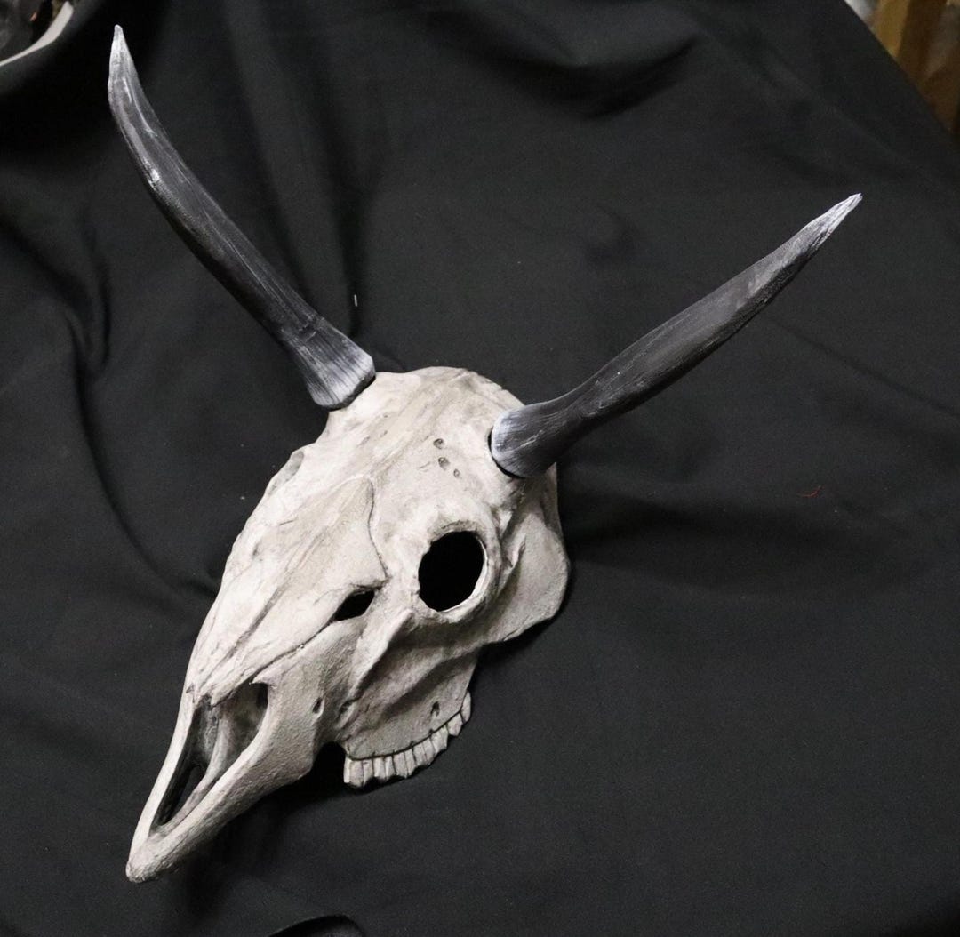 Fake Animal Skull With Horns - Etsy